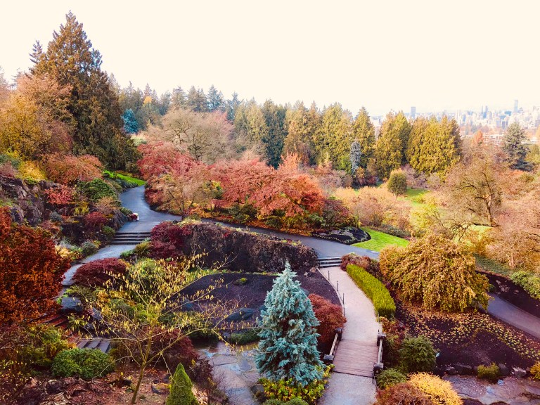 Queen Elizabeth Park, Vancouver – BUTTERFLY IN THE SPRING